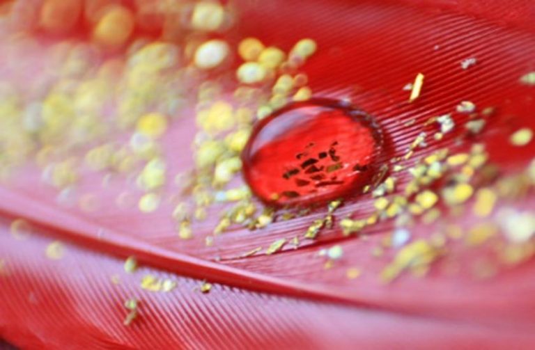 Golden Blood: Get to know about this rarest blood type