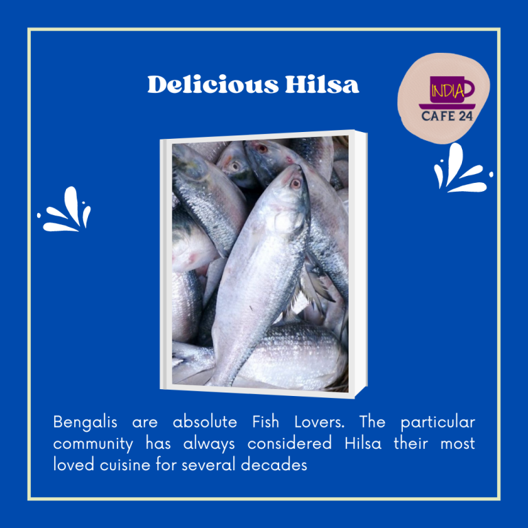Unknown Facts To Know About Hilsa Fish | IndiaCafe24